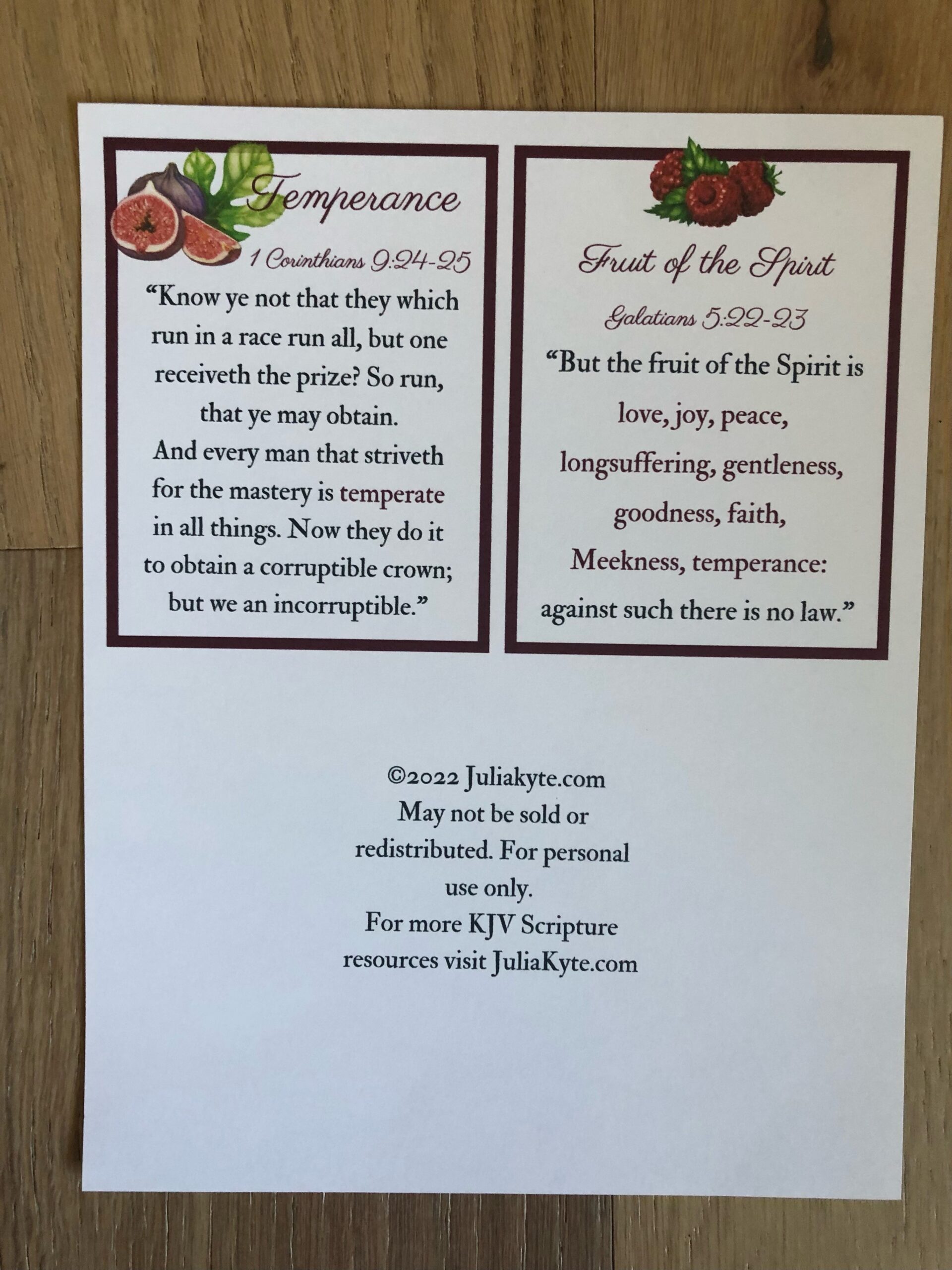 Fruit of the Spirit Scripture Printable Memory Cards PDF KJV