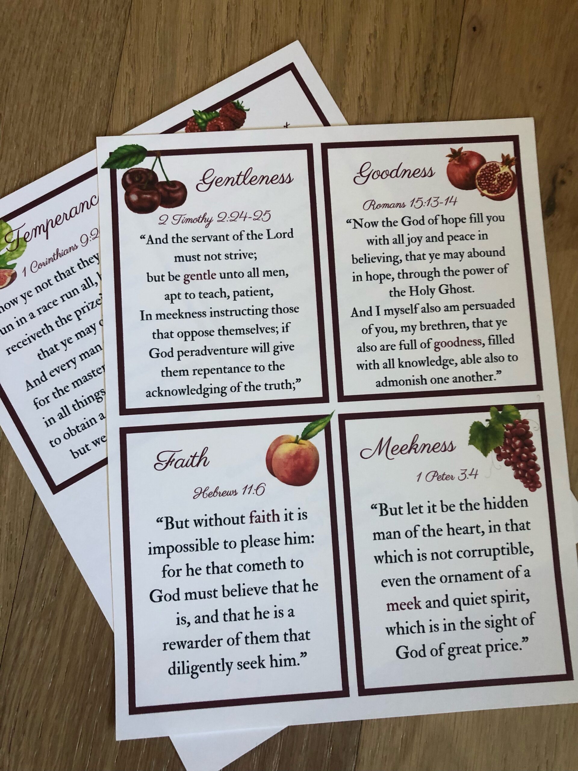 Fruit of the Spirit Scripture Printable Memory Cards PDF KJV